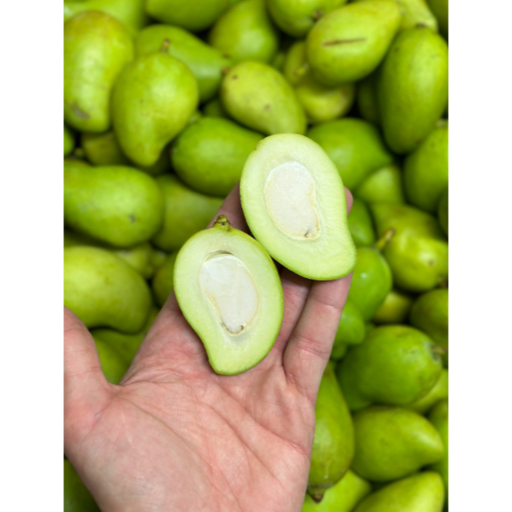 Buah Mangga Muda Fresh/Buah Mangga Telur/Pauh Ringan/Buah Mangga Muda ...