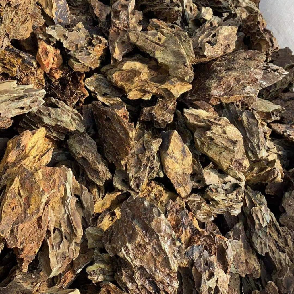 1kg Dragon / Ohko Stone Aquarium Aquascaping Paludarium Vivarium ...