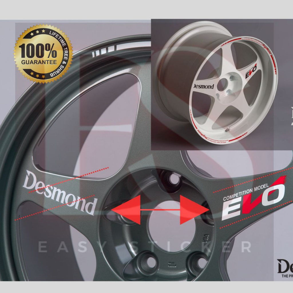 Desmond Regamaster EVO Spoke Decal Sticker 15" / 16" / 17"/18" | Shopee ...