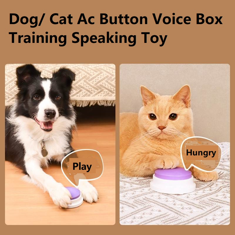 Dog / Cat Ac Button Voice Box Training Dog Speaking Toy Recording ...