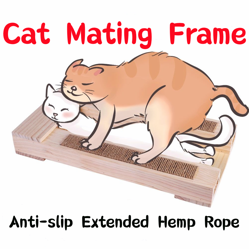 Solid Wood Short Female Cat Mating Munchkin Short Legged Cat Breeding ...