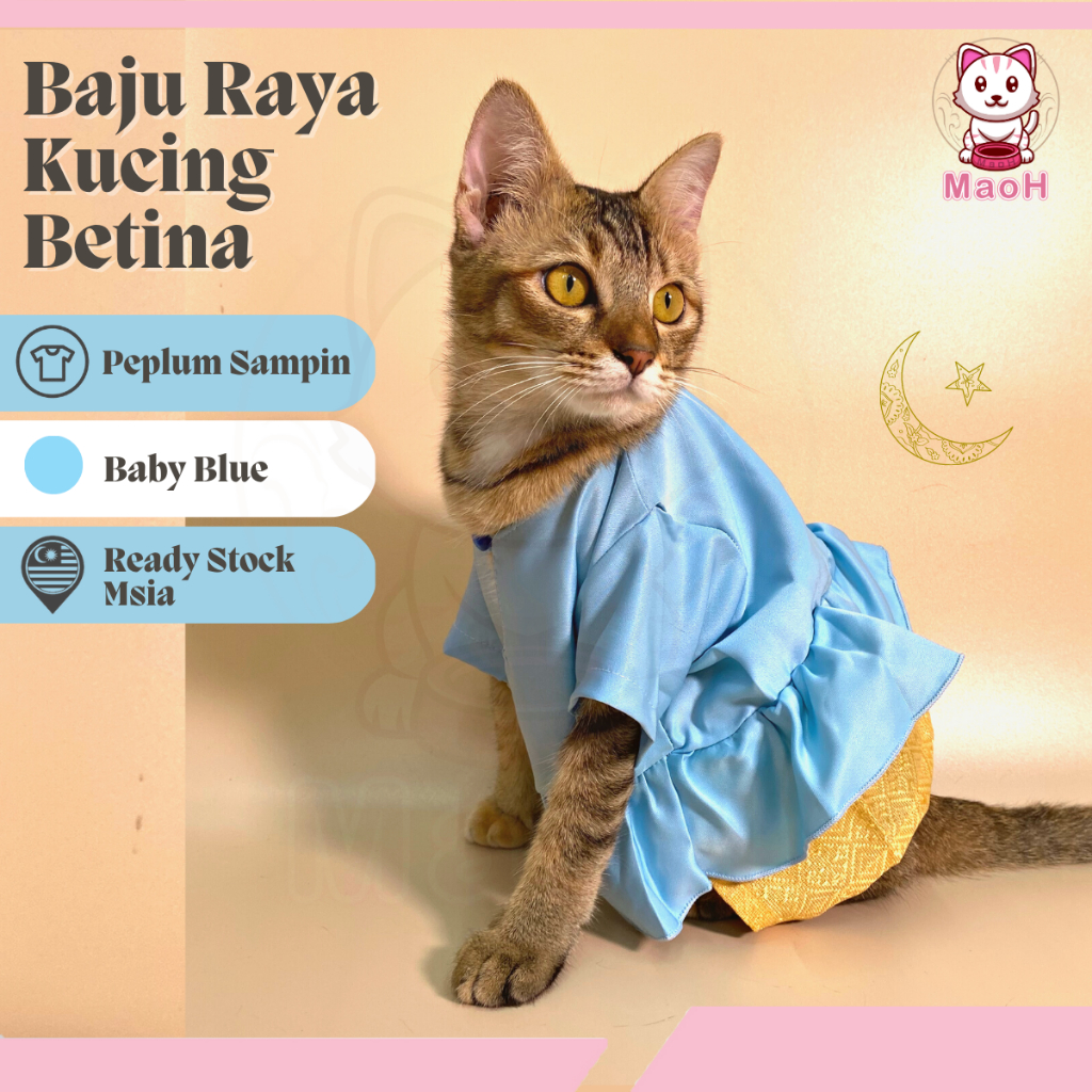MaoH Baju Raya Kucing Betina (Baby Blue) Peplum 2024 Ready Stock Cat ...