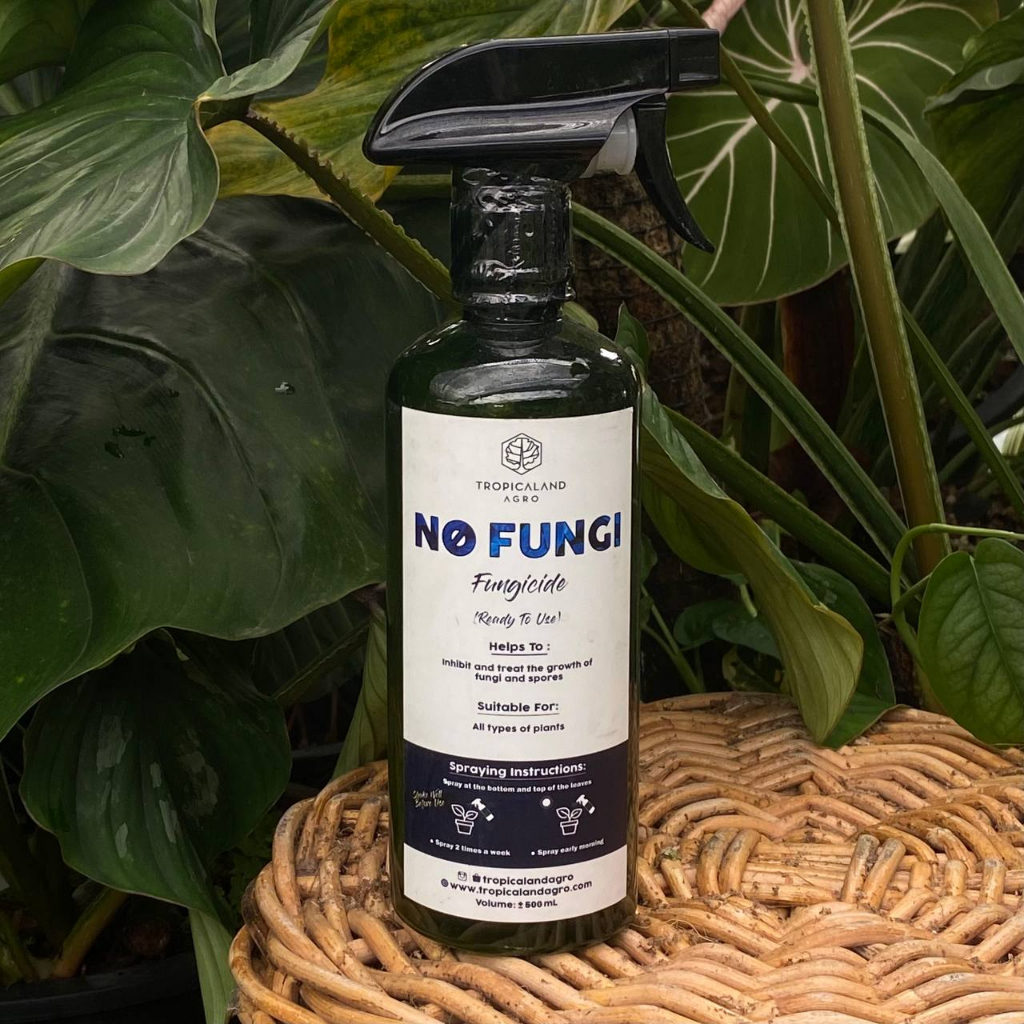 TA No Fungi / Fungicide | Shopee Malaysia