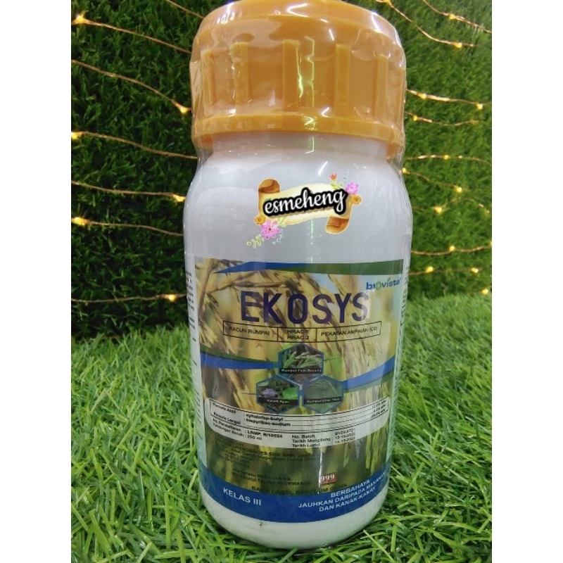 250ml Ekosys Duo 160 / rumput colok cina / sambau bunga tebu / clincher ...