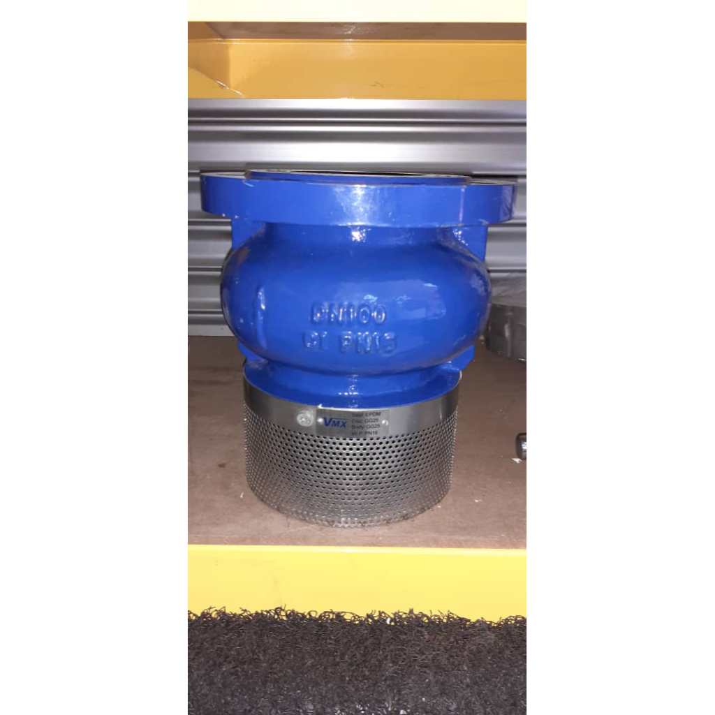 4 inch Cast Iron Foot Valve PN16 (Clearance Stock) | Shopee Malaysia