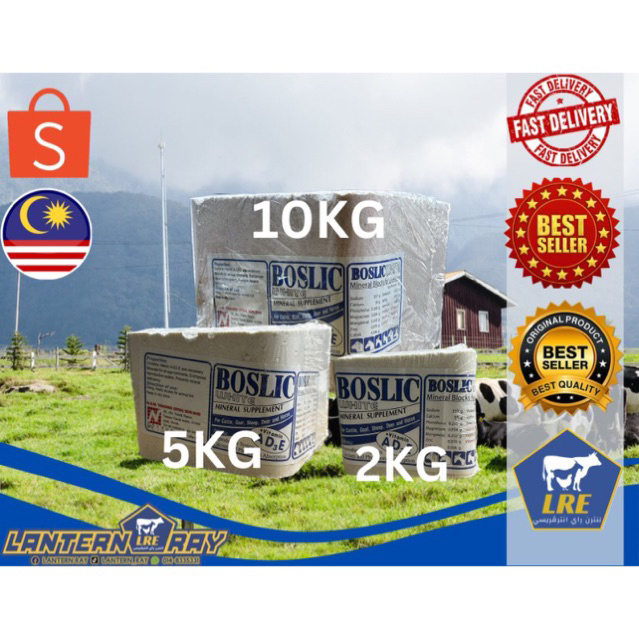 Garam Boslic/Garam Vitamin 5KG | Shopee Malaysia