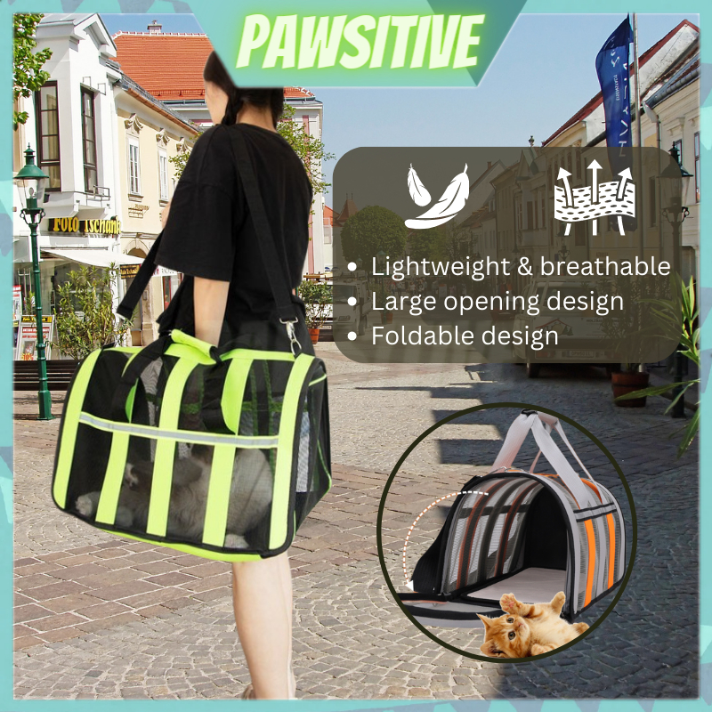 PAWSITIVE Cat Carrier Bag/Cat Bag Kucing Travel/Cat Beg Kucing Travel ...