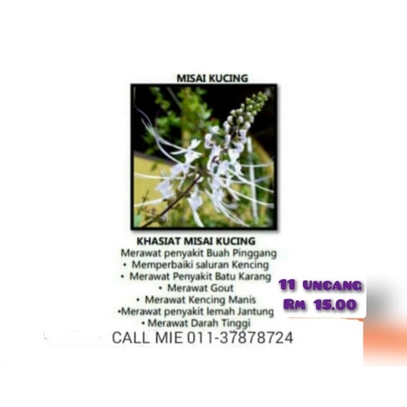 TEH MISAI KUCING 100% ASLI | Shopee Malaysia