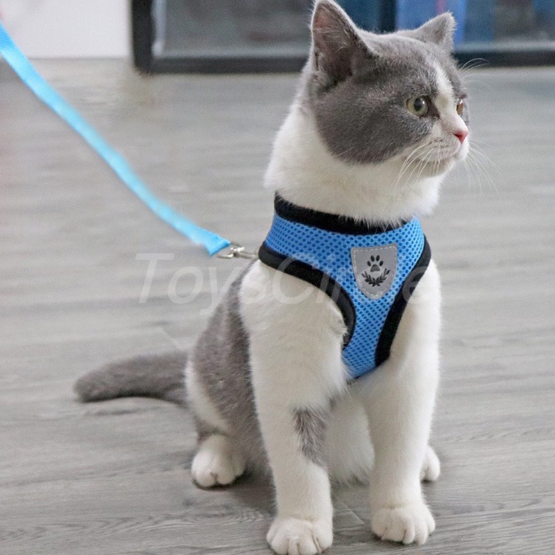 ️READY STOCK ️Pet Harness Tali Kucing Berjalan Murah Lead Cat Dog Rope ...