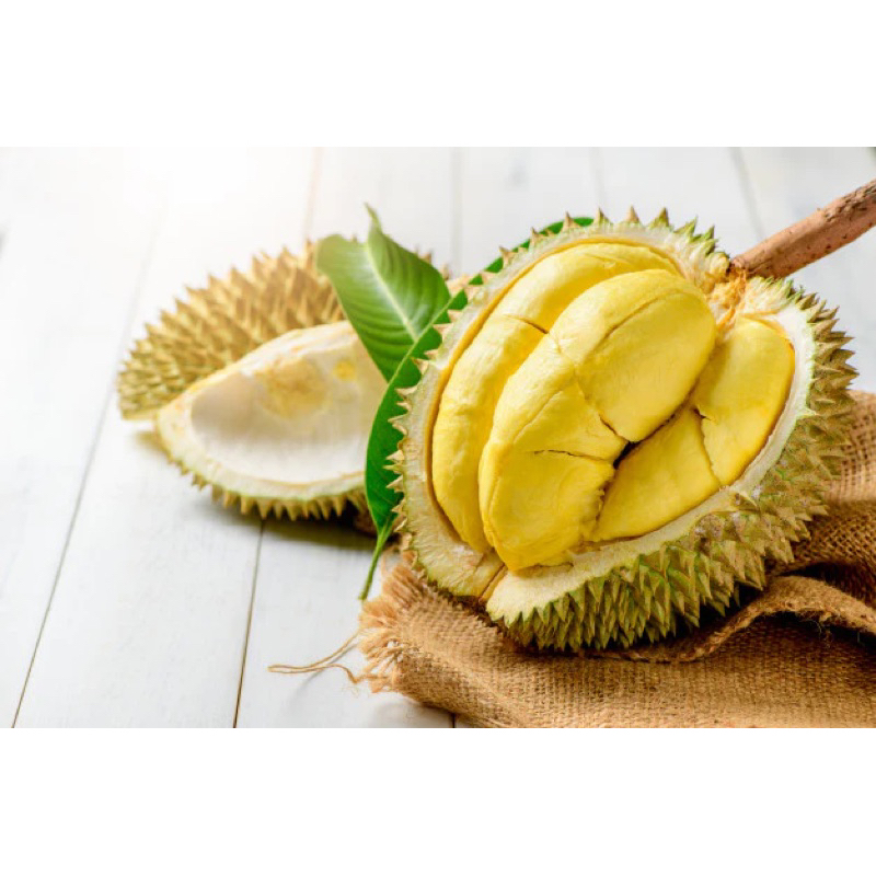 Anak pokok durian musang queen | Shopee Malaysia