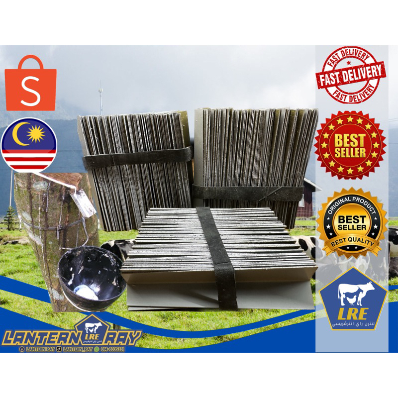 Sudu Getah Pokok Muda 100Pcs | Shopee Malaysia