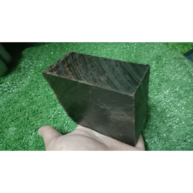 TERAS GEMUNGGAL HITAM/ KELOR / MORINGA OLEIFERA | Shopee Malaysia