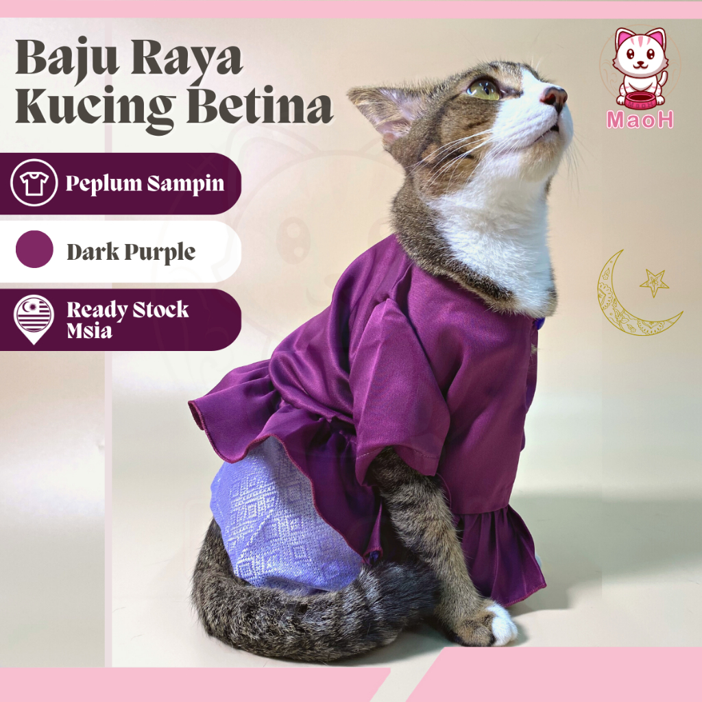 MaoH Baju Raya Kucing Betina (Dark Purple) Peplum 2024 Ready Stock Cat ...