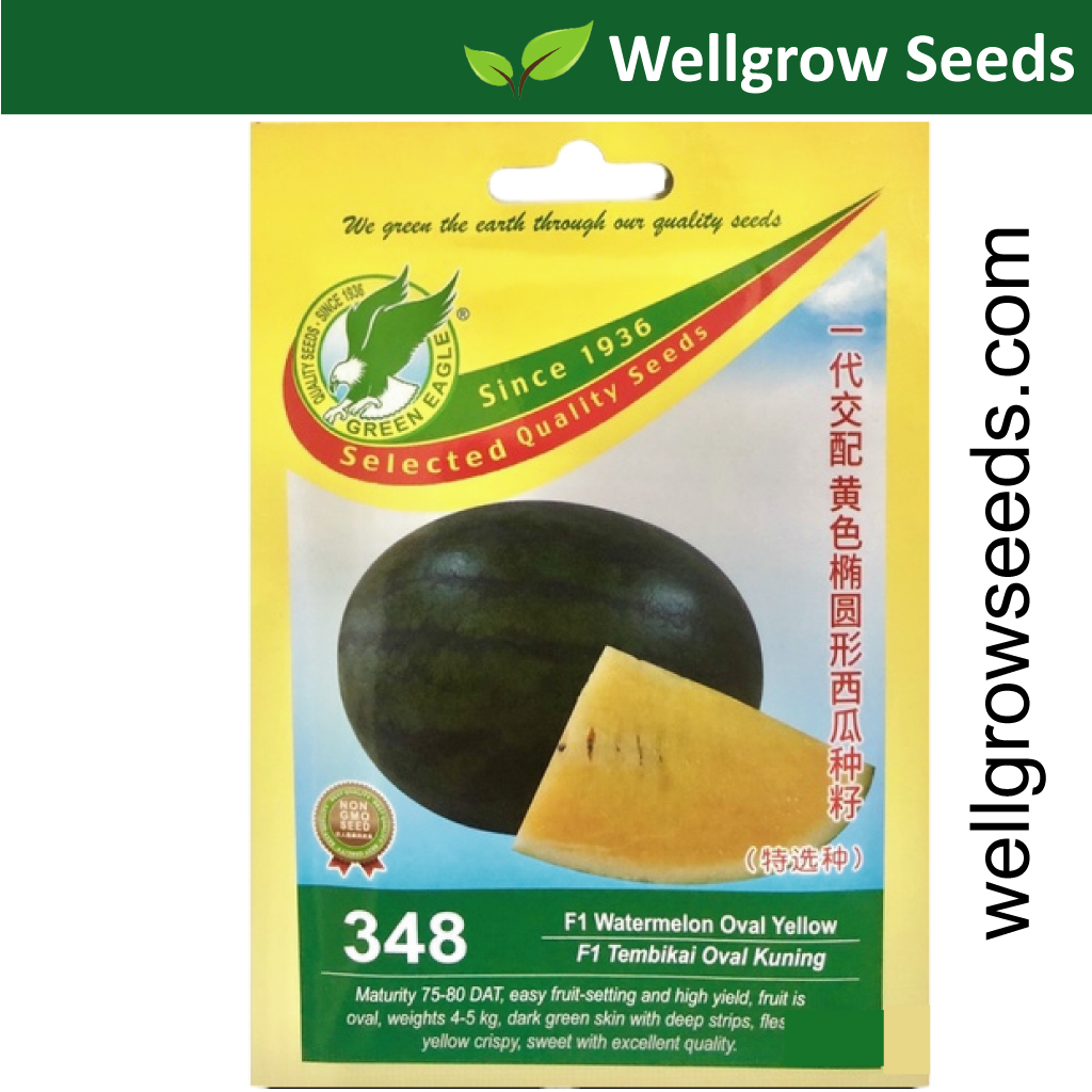 Watermelon Yellow Oval F1 (6 seeds) 黄色椭圆形西瓜 Green Eagle GE348 Biji ...