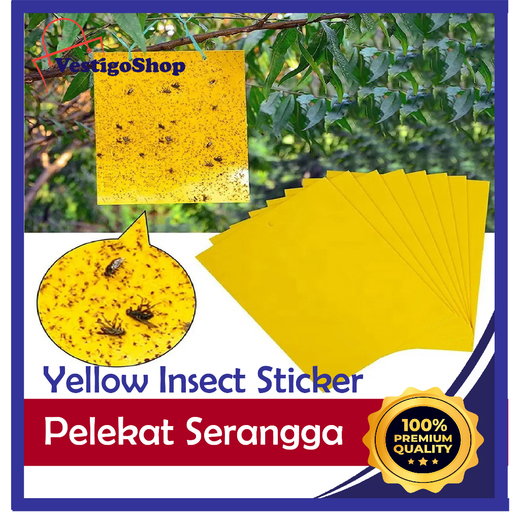 PELEKAT SERANGGA DOUBLE SIDES YELLOW STICKY INSECT STICKER | Shopee ...