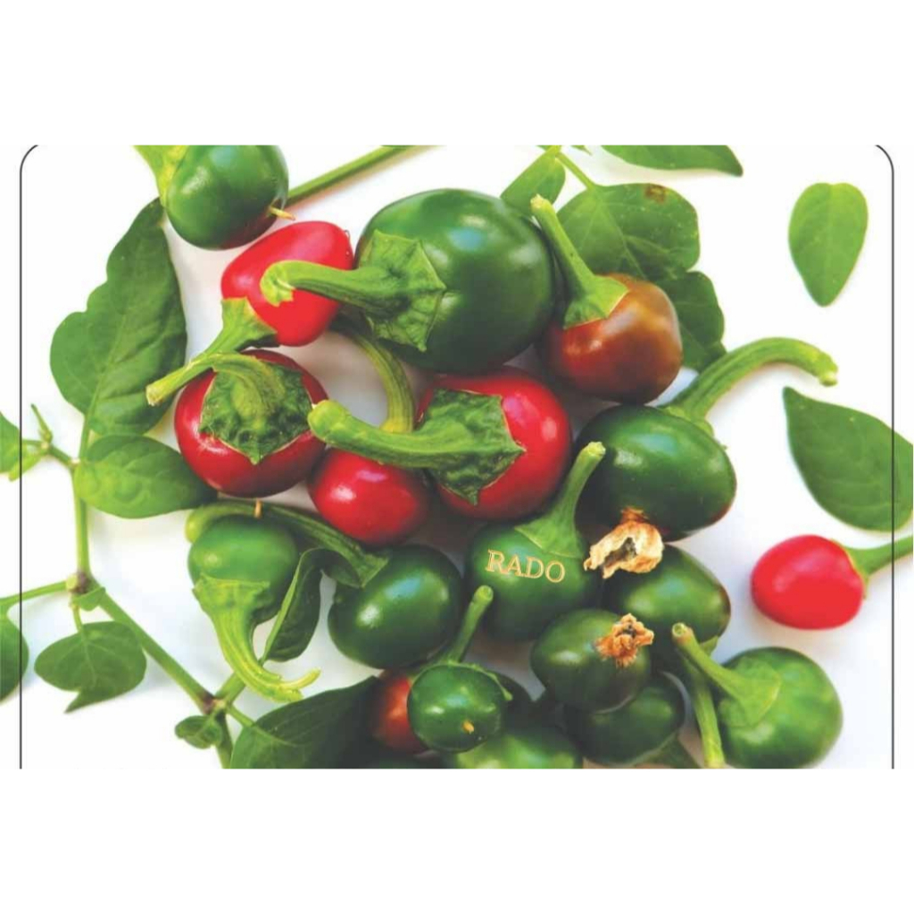 RADO 527 Round Chilli Seeds 圆辣椒种子 Biji Benih Sayur Vegetable Seeds ...