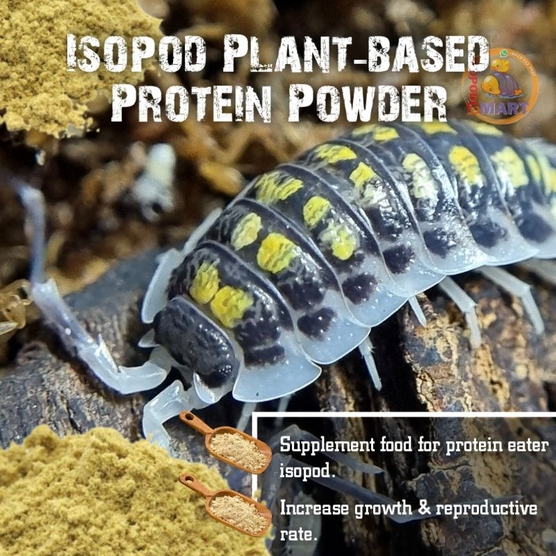 [New Launching] Isopod Plant-based Protein Food / Isopod High Protein ...