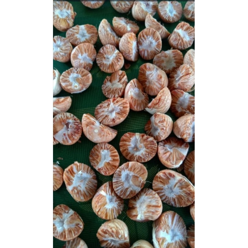 Buah Pinang Kering 500g | Shopee Malaysia