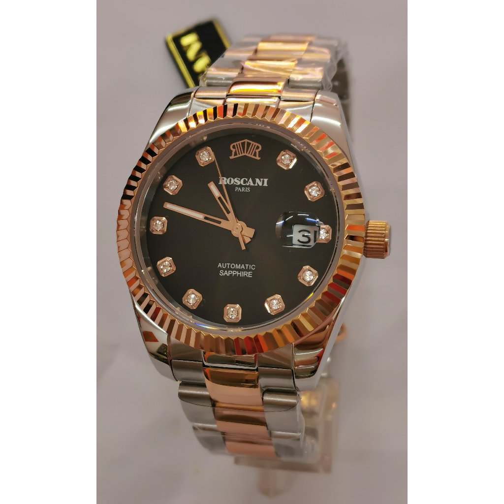 ROSCANI LIMITED EDITION AUTOMATIC SAPPHIRE CRYSTAL ALL STAINLESS STEEL ...