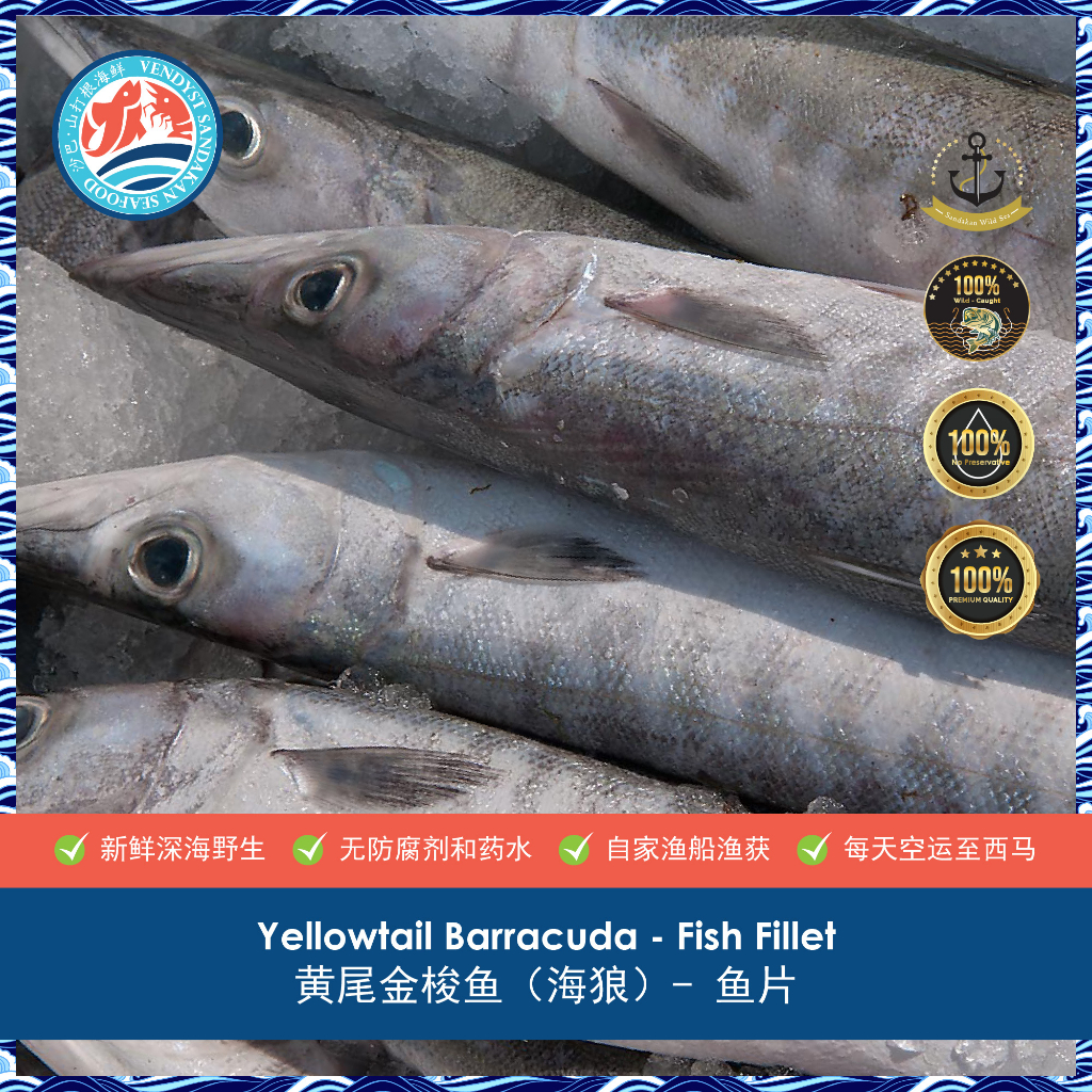 (Wild-Sea) Yellow Tail Barracuda - Fillet (Debone) 山打根野生黄尾金棱鱼（海狼）- 鱼片 ...