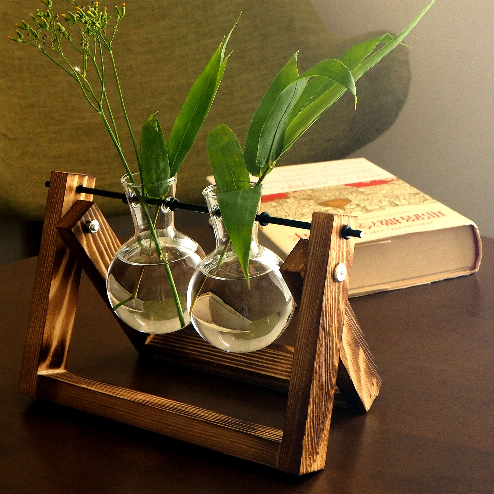 [Ready Stock from KL] Transparent Glass Water Planting Pot | Shopee ...