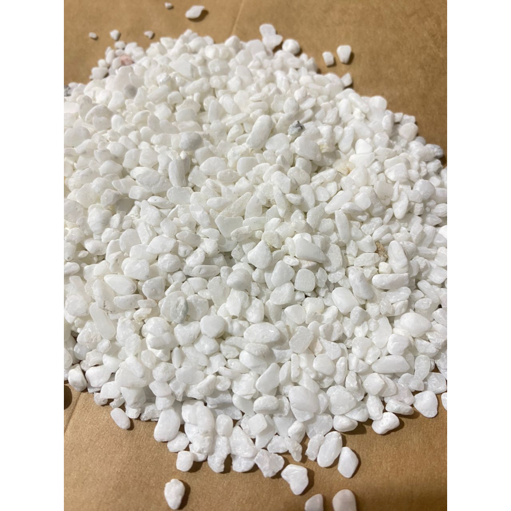 Stone/Sand Aquarium for Aquascape Pasir Aquarium pure white sand for ...