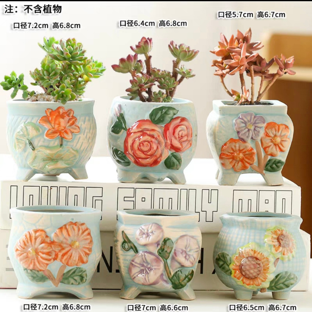M094 6pcs/set Succulent Pot Cactus Ceramic Pot 陶瓷盆 多肉盆 仙人掌盆 花盆 Pasu ...