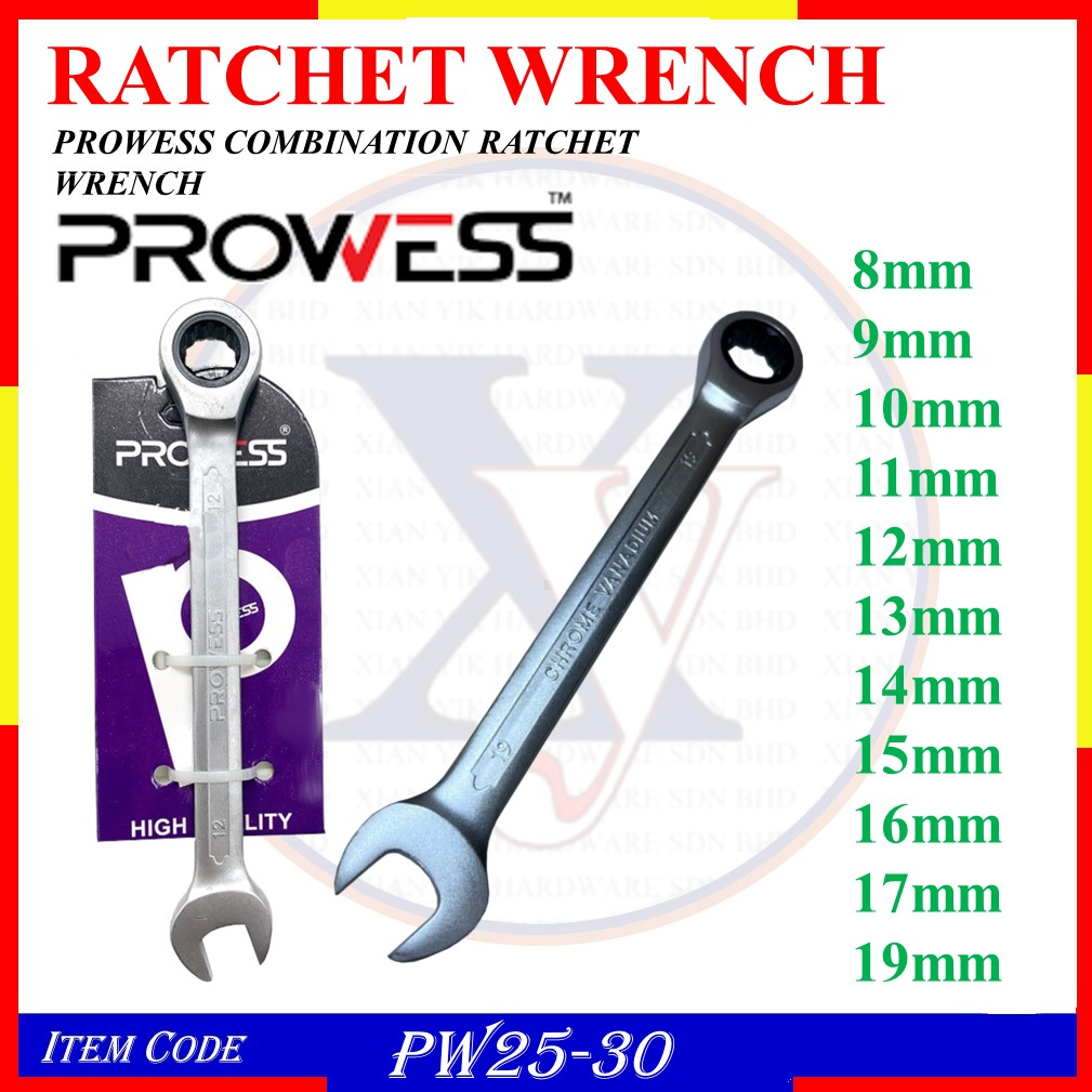 PW25- 8mmTO 19mm PROWESS ANTON FLEXIBLE HEAD RATCHET COMBINATION ...