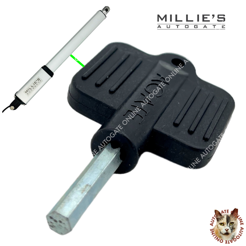 MILLIE RELEASE KEY ( ORIGINAL ) MILLIE ALLEN KEY -AUTOGATE ONLINE ...