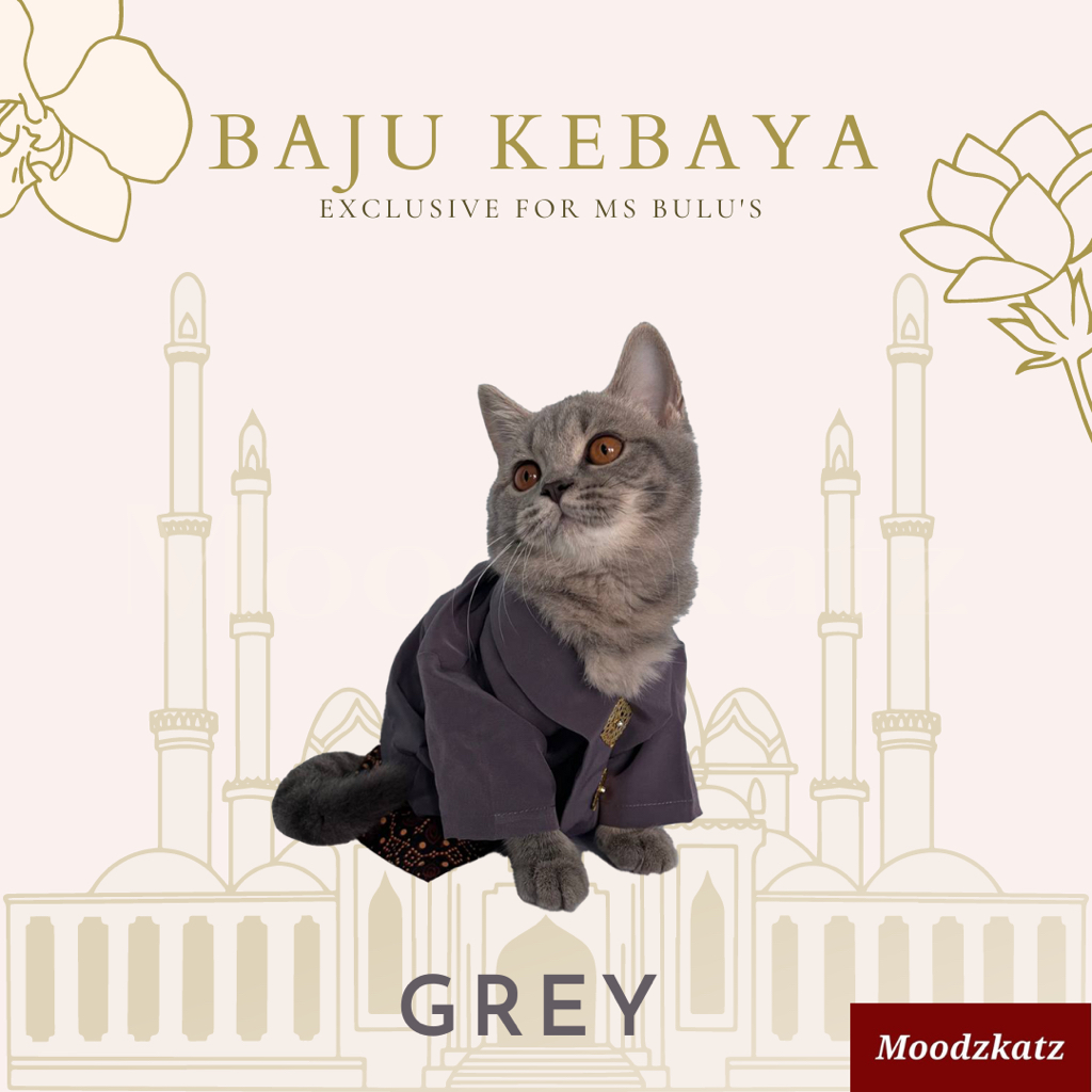 [Ready Stock Raya 2025] Baju Raya , Baju Kebaya Kucing + Kain Batik ...