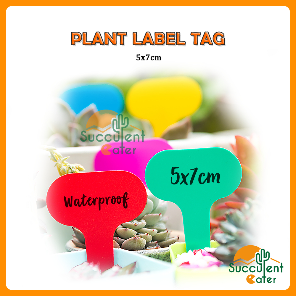 Plant Label Tag Garden 5x7cm Plant Flower Label Tag Nursery Thick T ...