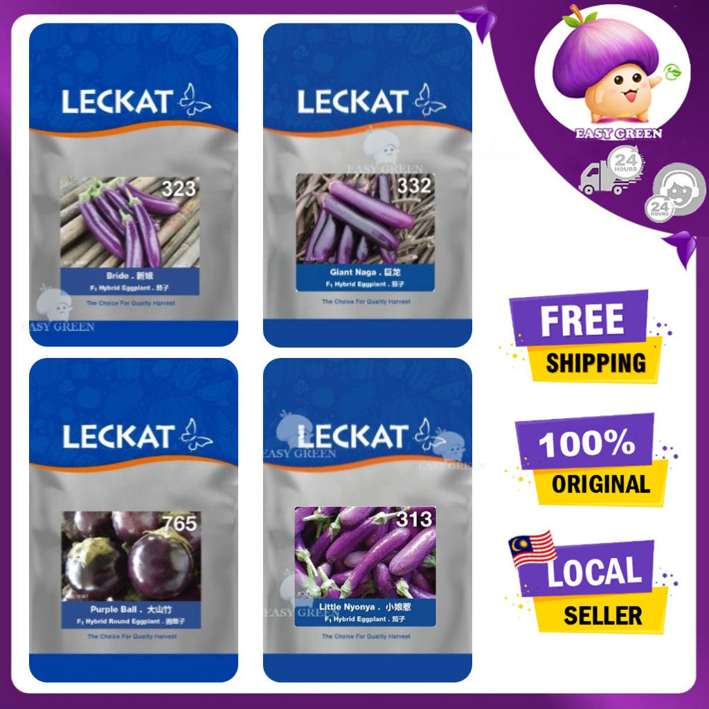LECKAT HYBRID F1 EGGPLANT SEEDS 10GRAM 323 BRIDE/765 PURPLE BALL/ 313/ ...