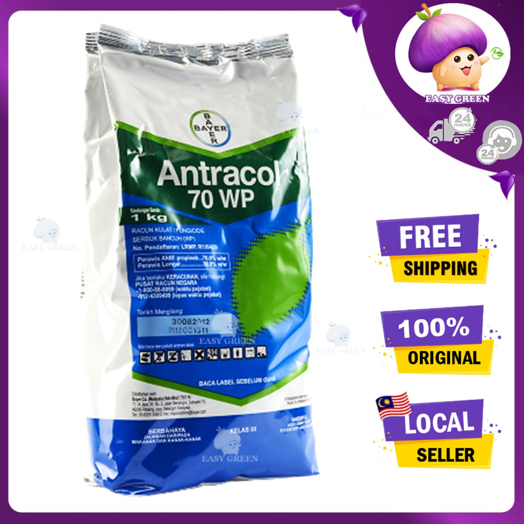 1KG BAYER ANTRACOL 70WP/PROPINEB 70% FUNGICIDE RACUN KULAT SERBUK ...