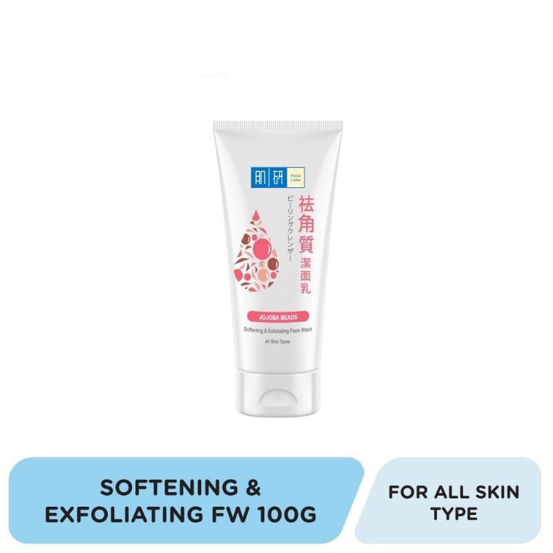 Hada Labo Face Wash Foam 100g | Shopee Malaysia