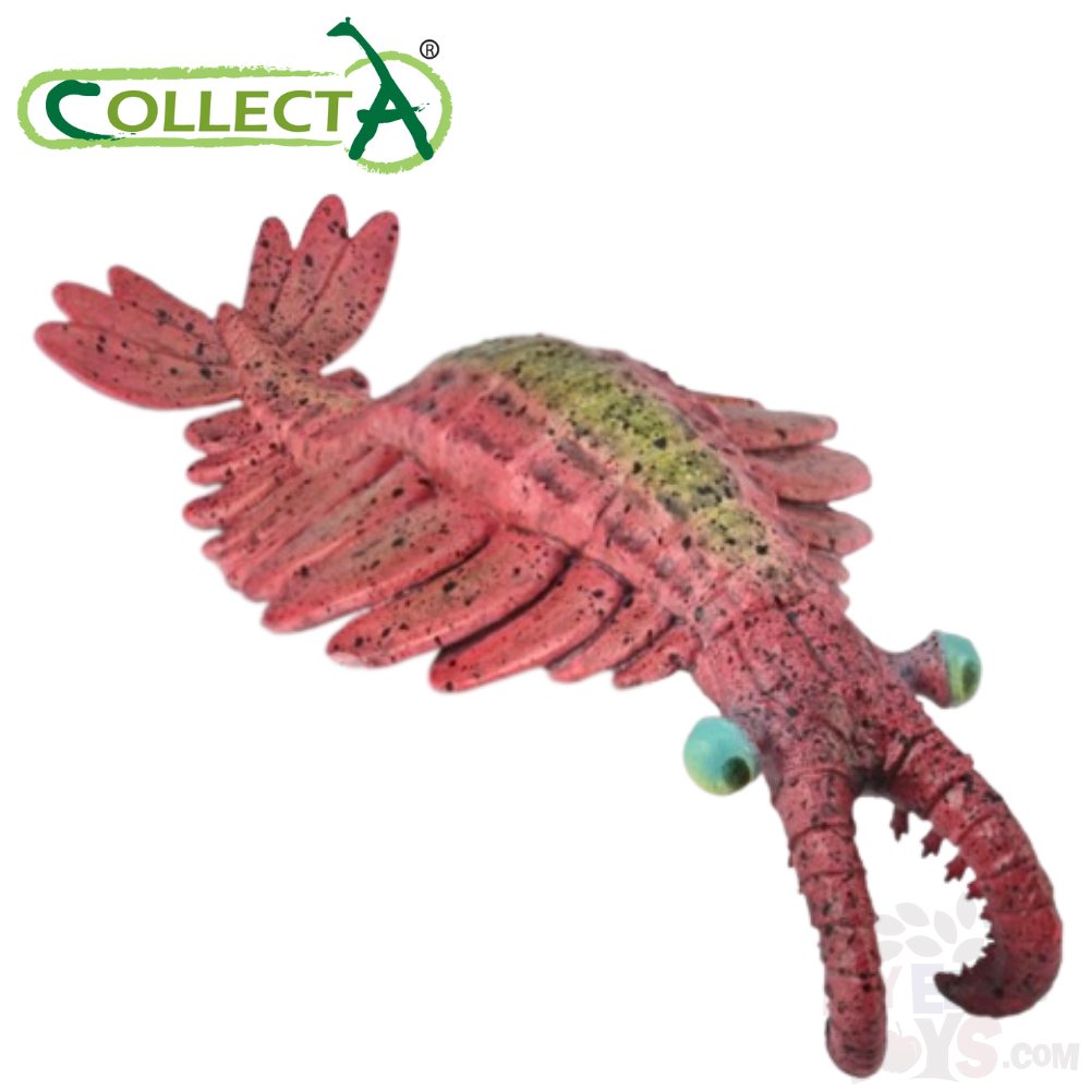 Anomalocaris - Collecta 88977 Prehistoric Sea Marine Animal Action ...