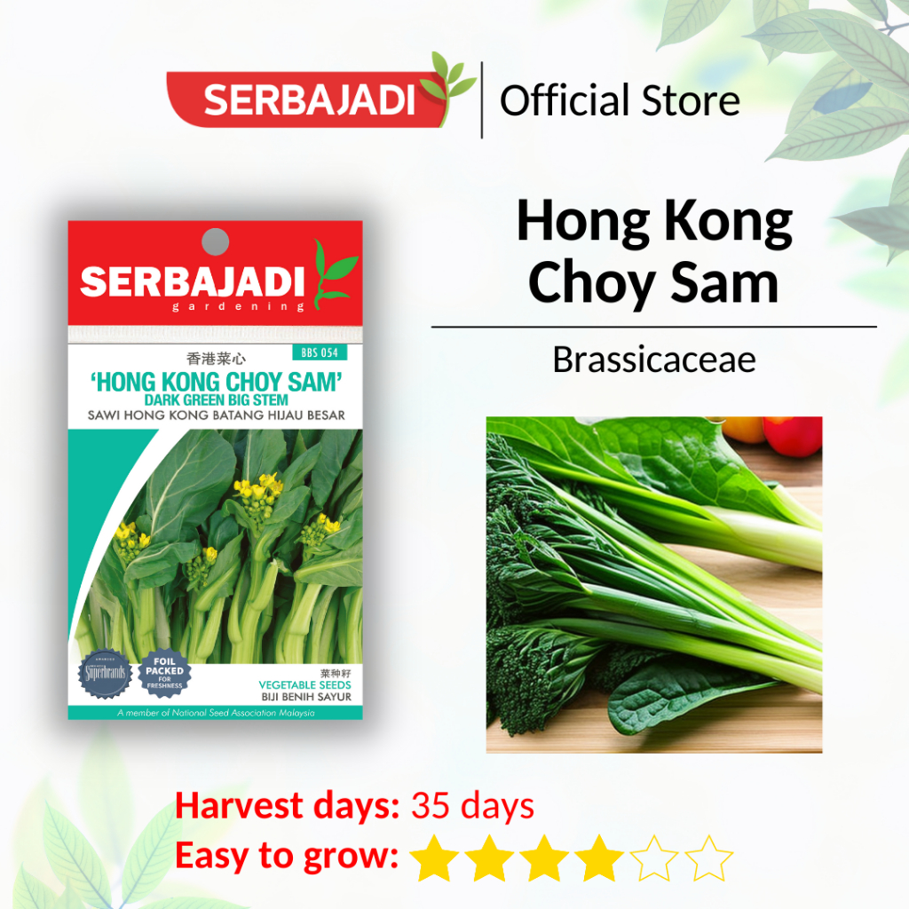 Serbajadi Vegetable Seed Hong Kong Choy Sum Dark Green Big Stem/ Biji ...
