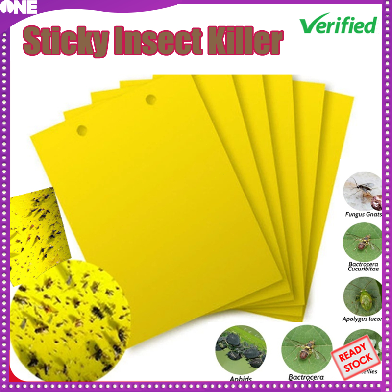 FJONE Medium Small Double Sided Paper Yellow Sticky Insect Killer Non ...