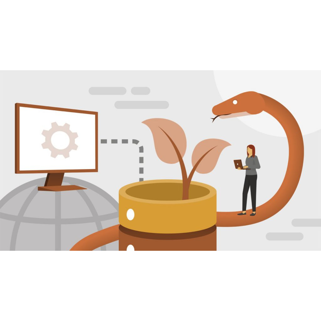 🔥COURSE🔥[Udemy] Using MongoDB with Python | Shopee Malaysia