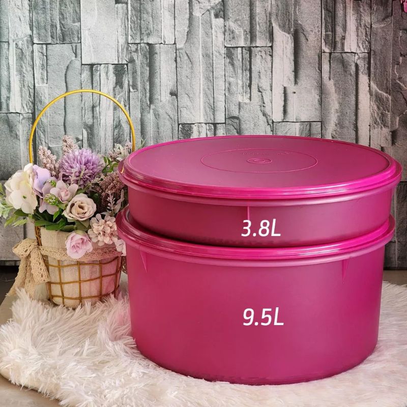 Tupperware EXCLUSIVE ITEM Take a Lot Small 3.8L or 9.5L (1pc) | Shopee ...