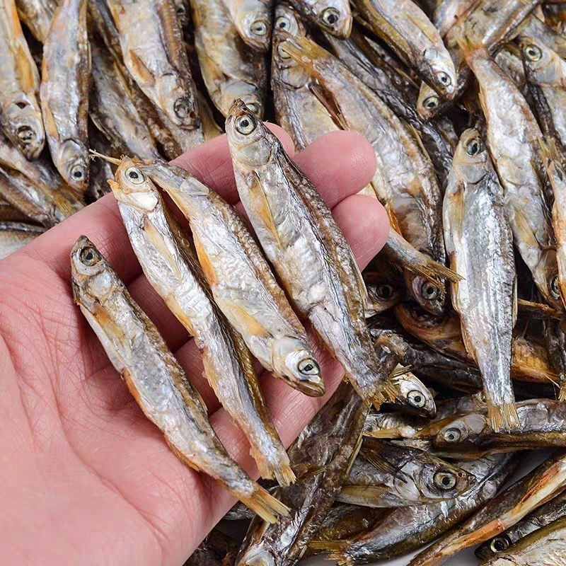 Homemade Air Dried Pet Treats Dehydrated Anchovies Pet Snacks Anchovy ...