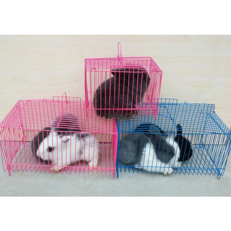 Rabbit Cage Mini Cage Bird Cage Sangkar Arnab Sangkar Burung Kecil ...