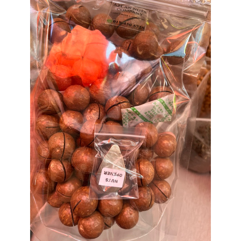 Australian Roasted Macadamia With Shell Salted Premium 500gram | Shopee ...
