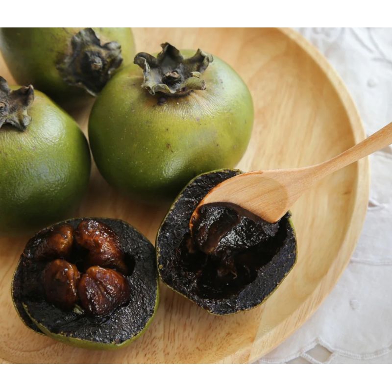 Black sapote tree (chocolate pudding tree) | Shopee Malaysia