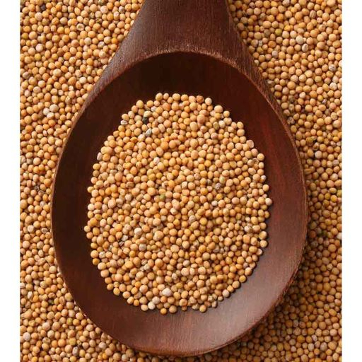 VENKADUGU / BIJI SAWI KUNING/ YELLOW MUSTARD SEED (100gm / 200gm ...