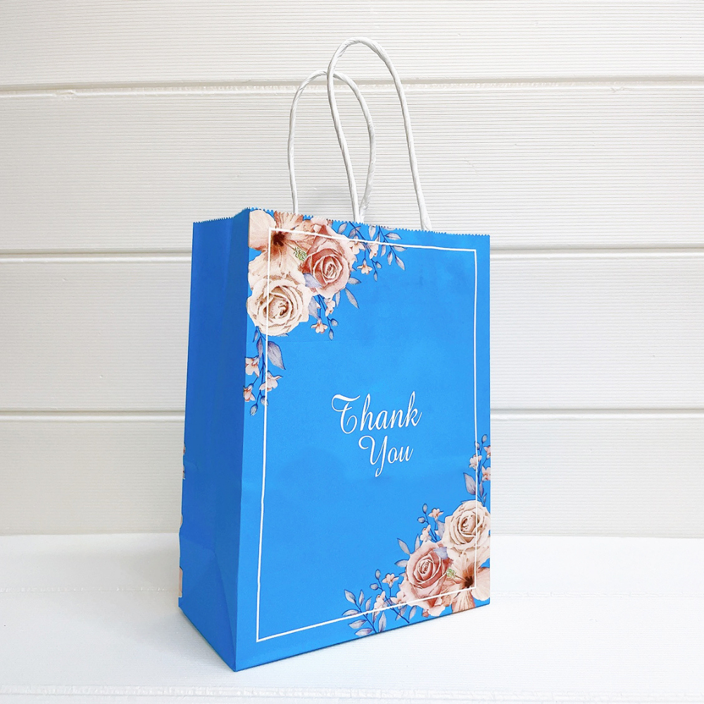 10PCS Paper Bag Doorgift/Paper Bag Goodies/ Doorgift/Wedding Doorgift ...