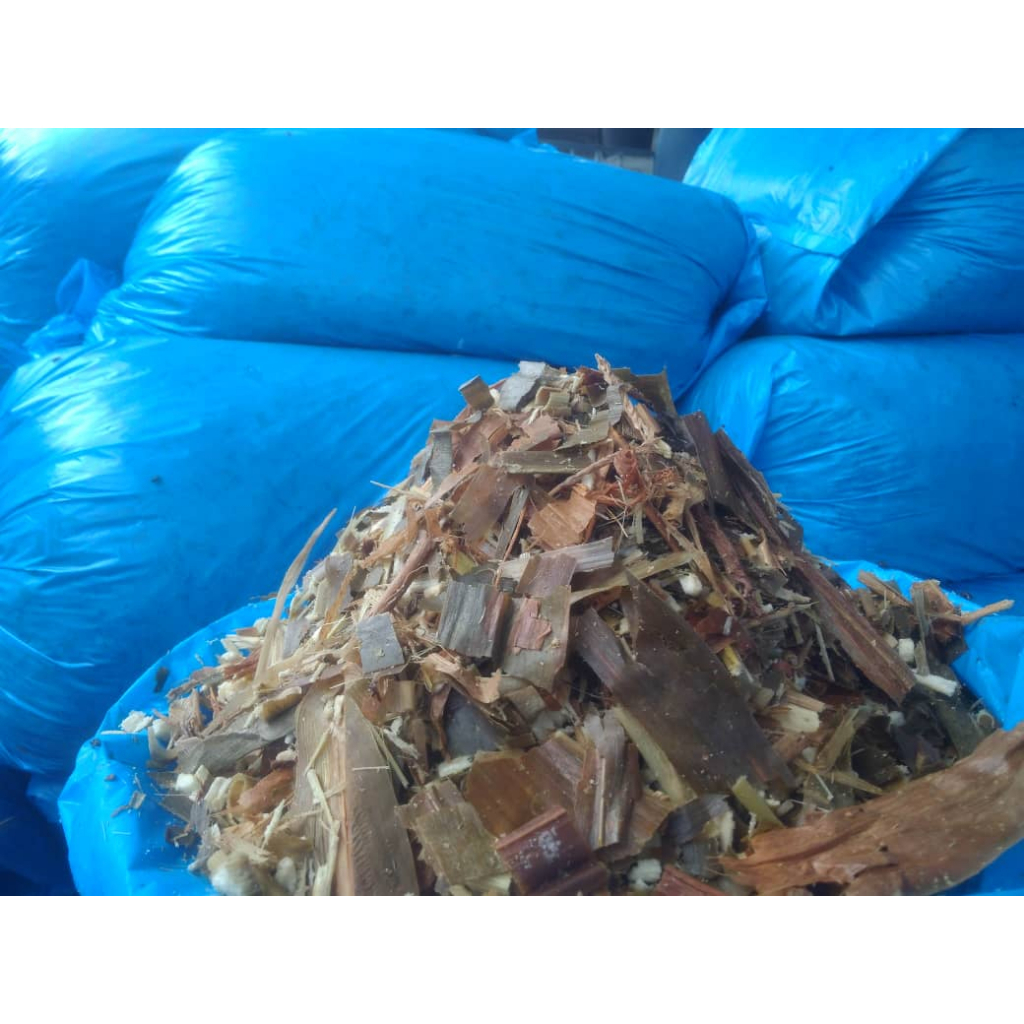 SILAJ NAPIER RM 13/BEG (25 KG) | Shopee Malaysia