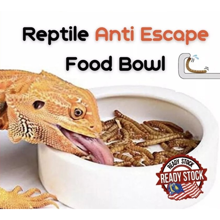 Reptile Ceramic Feeding bowl Worm Dish Anti Escape Food Dish Insect ...