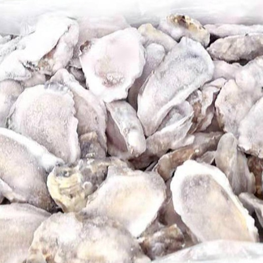 [TASTY FROZEN] Half Shell Oyster Big 半壳生蚝 12pcs | Shopee Malaysia