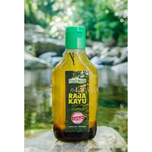 Minyak Raja Kayu Tuan Hutan Traditional Handmade Asli Urut Saraf Sakit ...