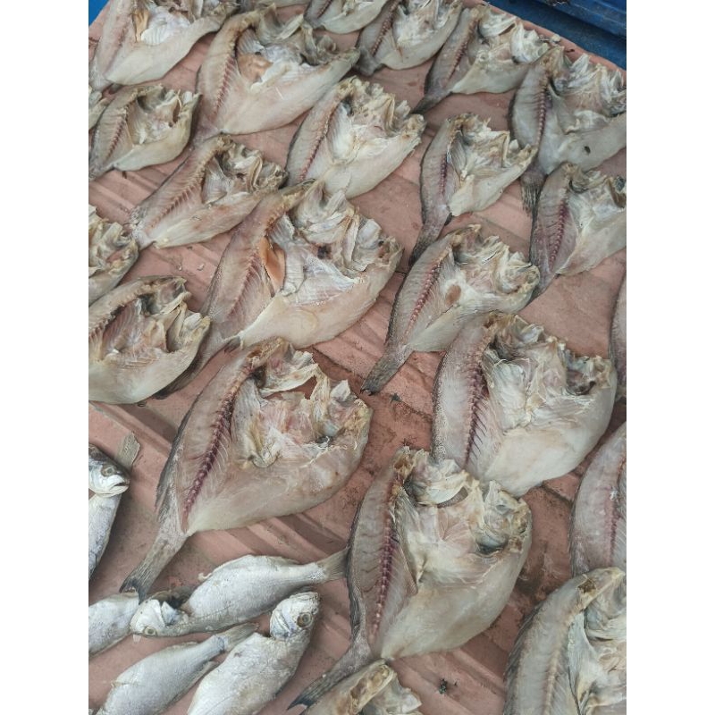 100grm PELBAGAI JENIS IKAN BEKOK | Shopee Malaysia